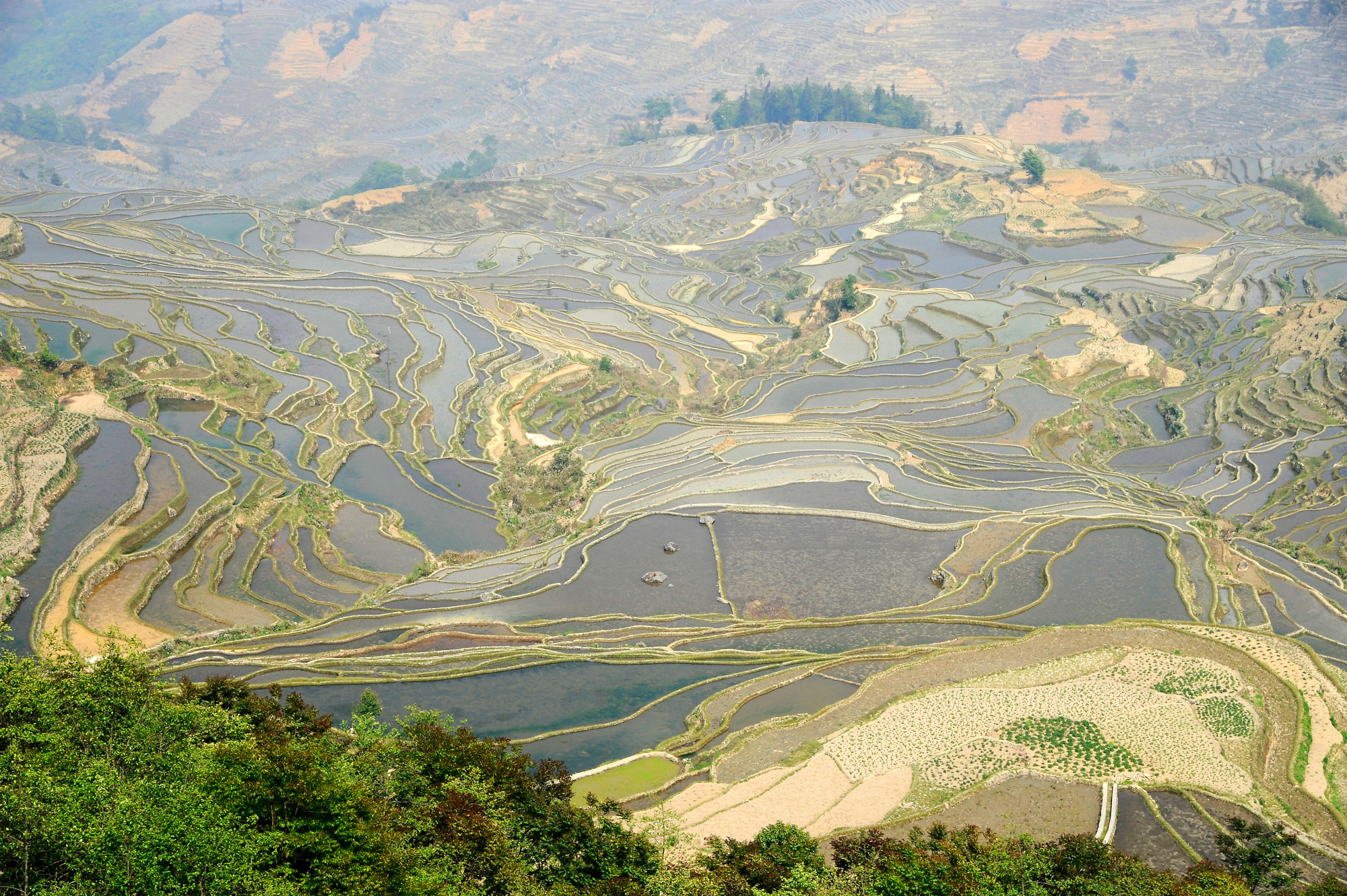 Rice Terraces near Qingkou (10) | Yuanyang | Pictures | China in Global ...