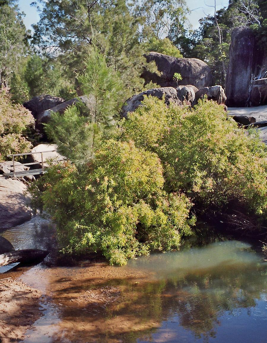 Granite Gorge_(1) | Port Douglas | Pictures | Australia in Global-Geography