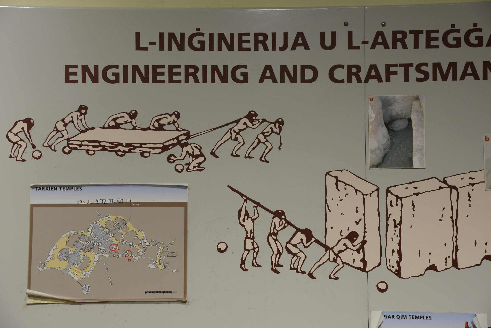 Tarxien Temples - Schematic View (2) | Megalithic Culture | Pictures ...